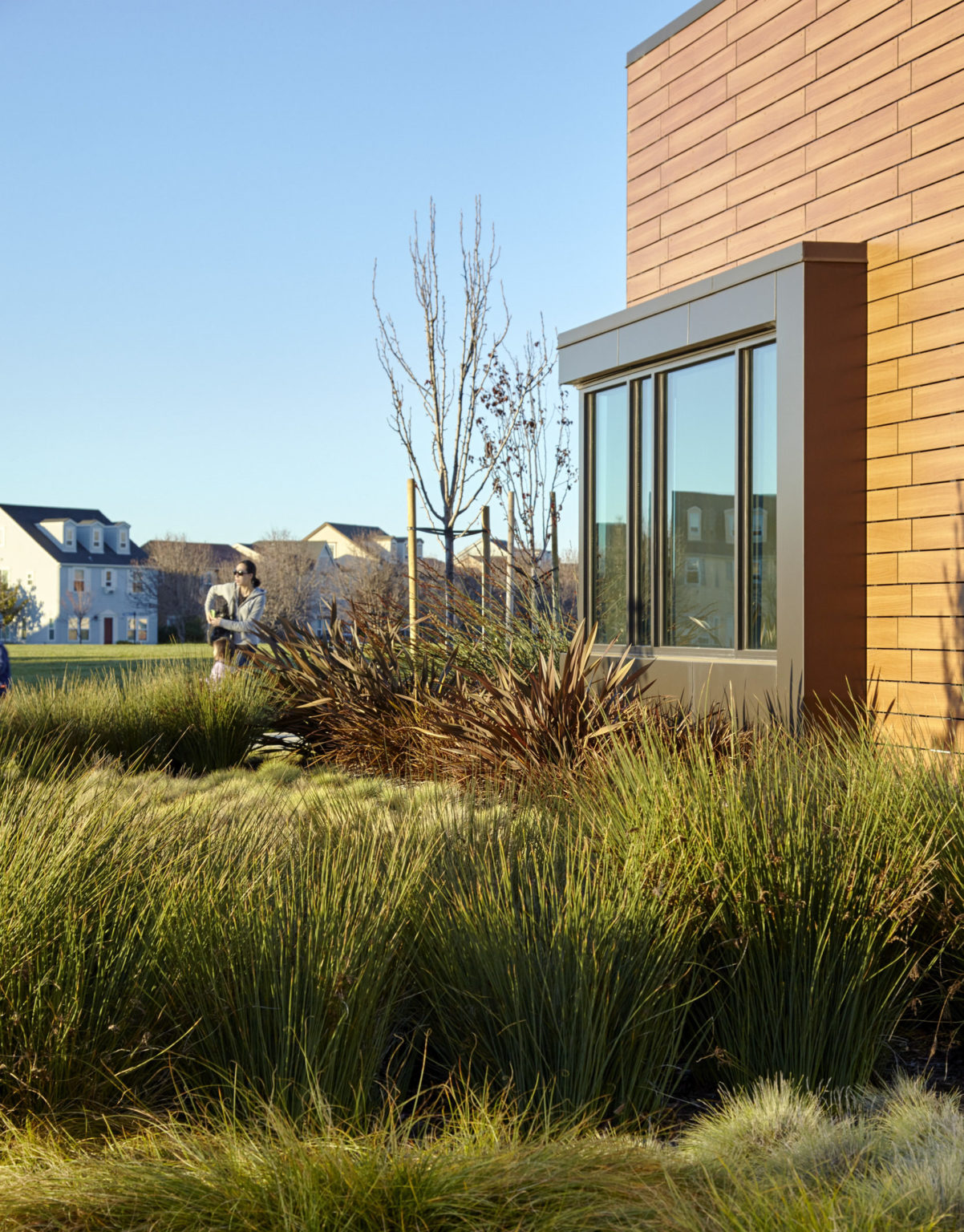 Santa Clara Northside Branch Library - Steinberg Hart