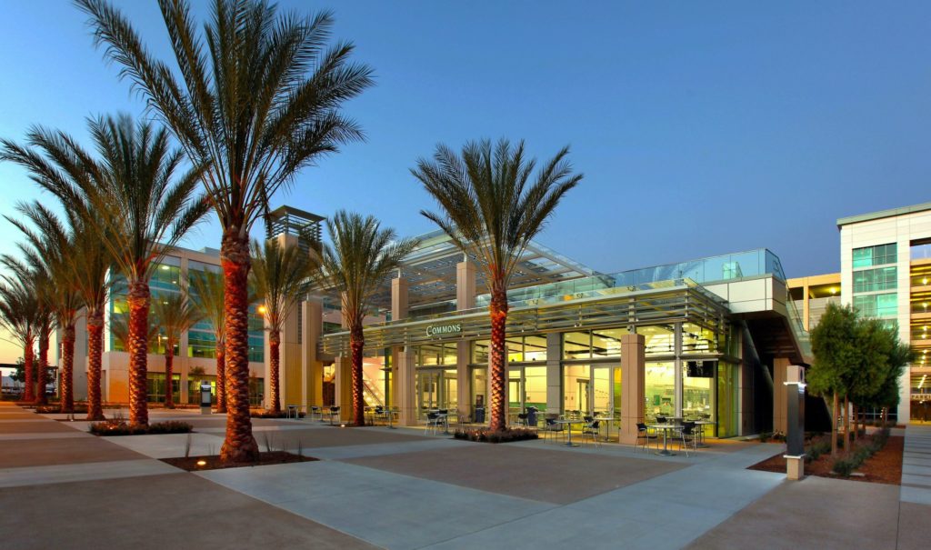 Janene Christopher - Steinberg Hart